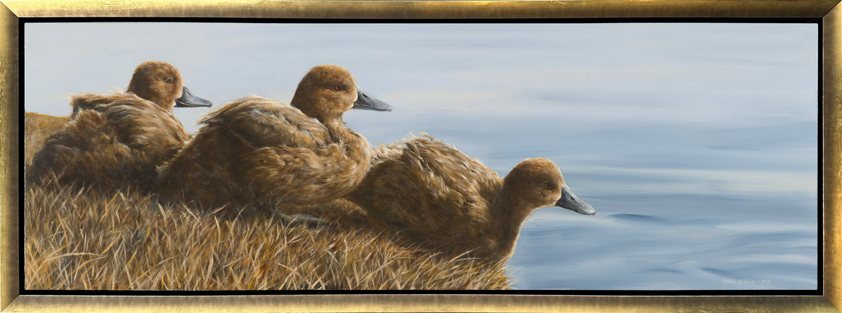 Getting My Ducks In A Row – Dervilia Art + Design